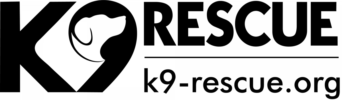 K9 Rescue – Rehabilitating abused street dogs from Eastern Europe for ...